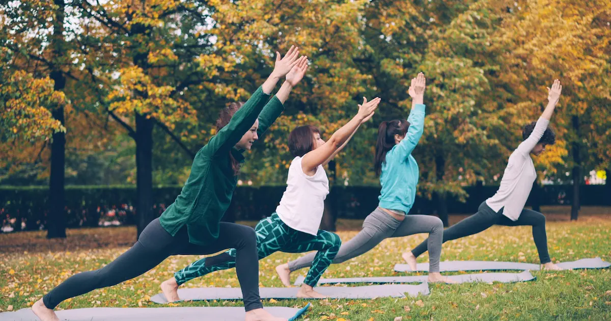 Social Meetups in Sydney: Complete Guide to Finding and Attending Events